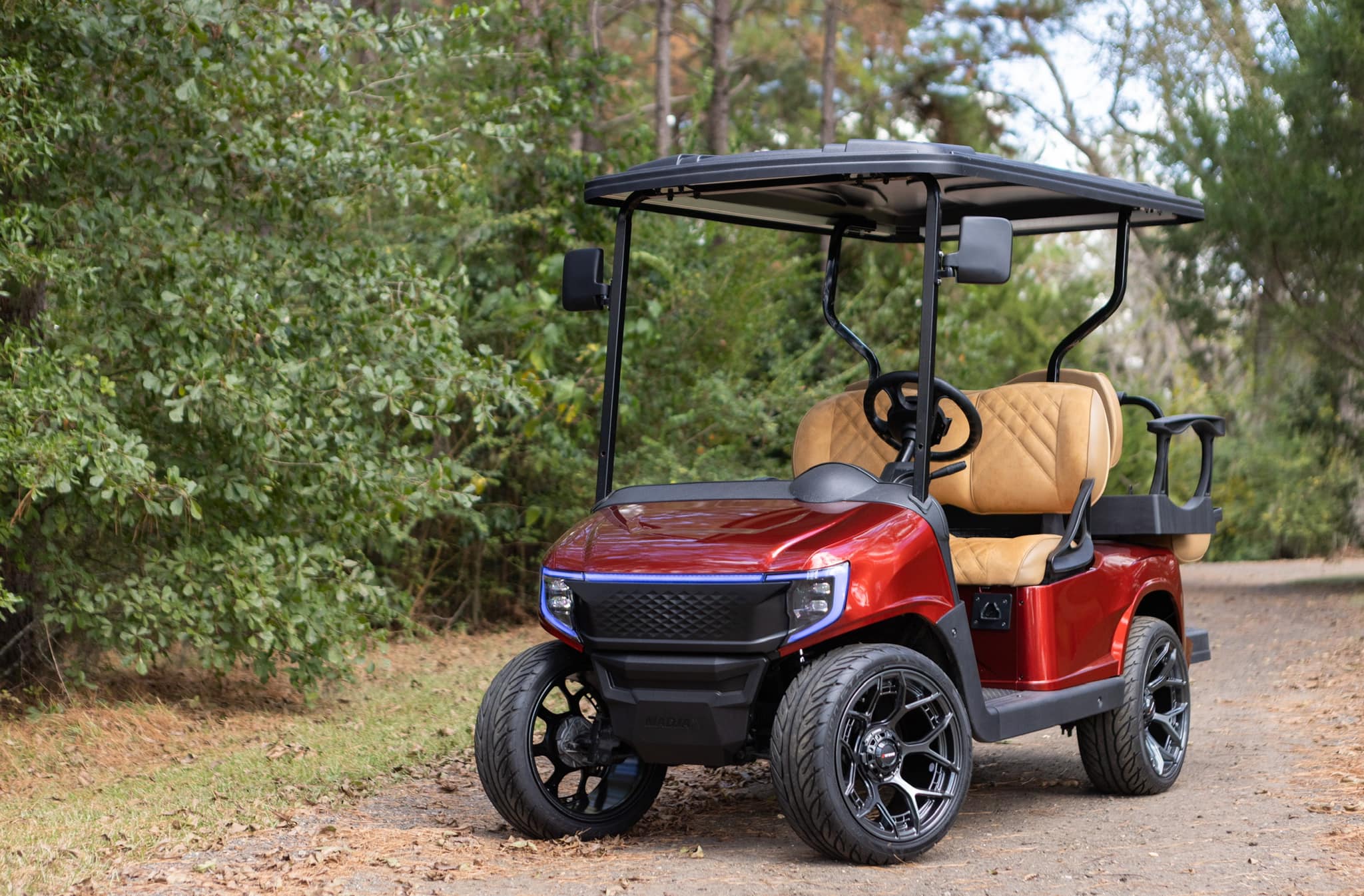 Golf Cart Monkey | Golf Cart Dealer | New & Used Golf Carts in Bonita ...